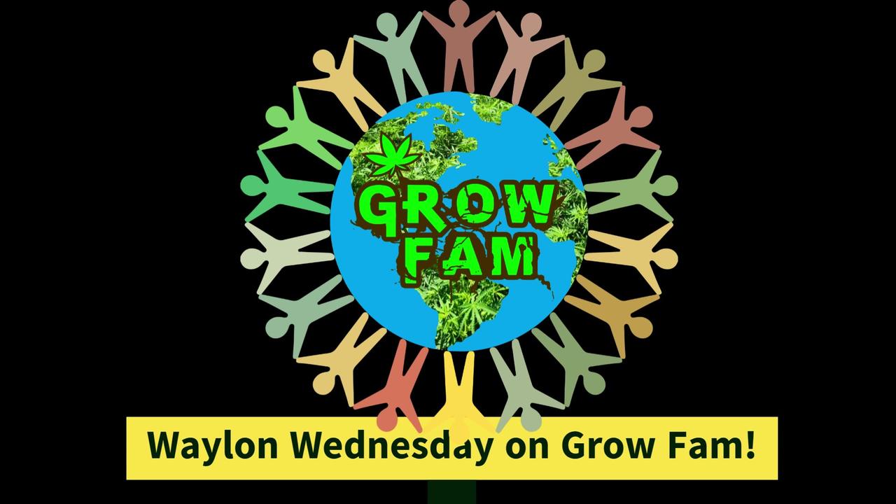 Waylon Wednesday Powered by Grow Fam! Stop - One News Page VIDEO