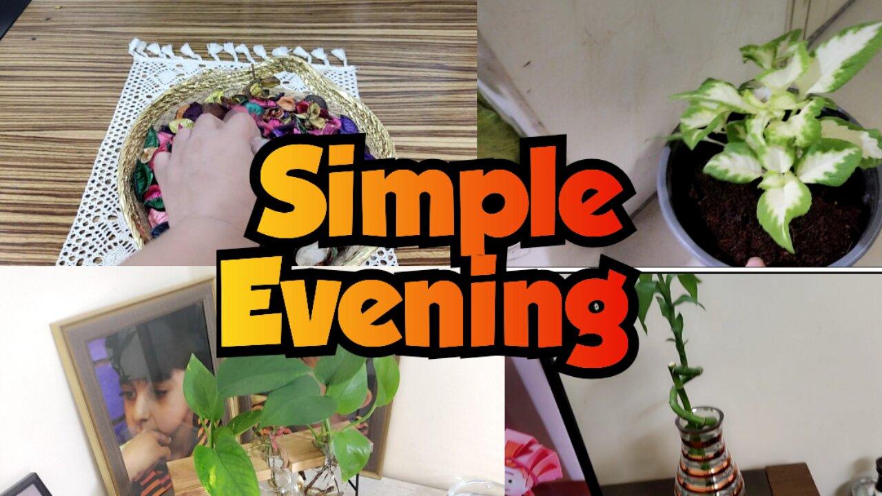 Simple Evening | My Routine in UAE Sharjah | - One News Page VIDEO