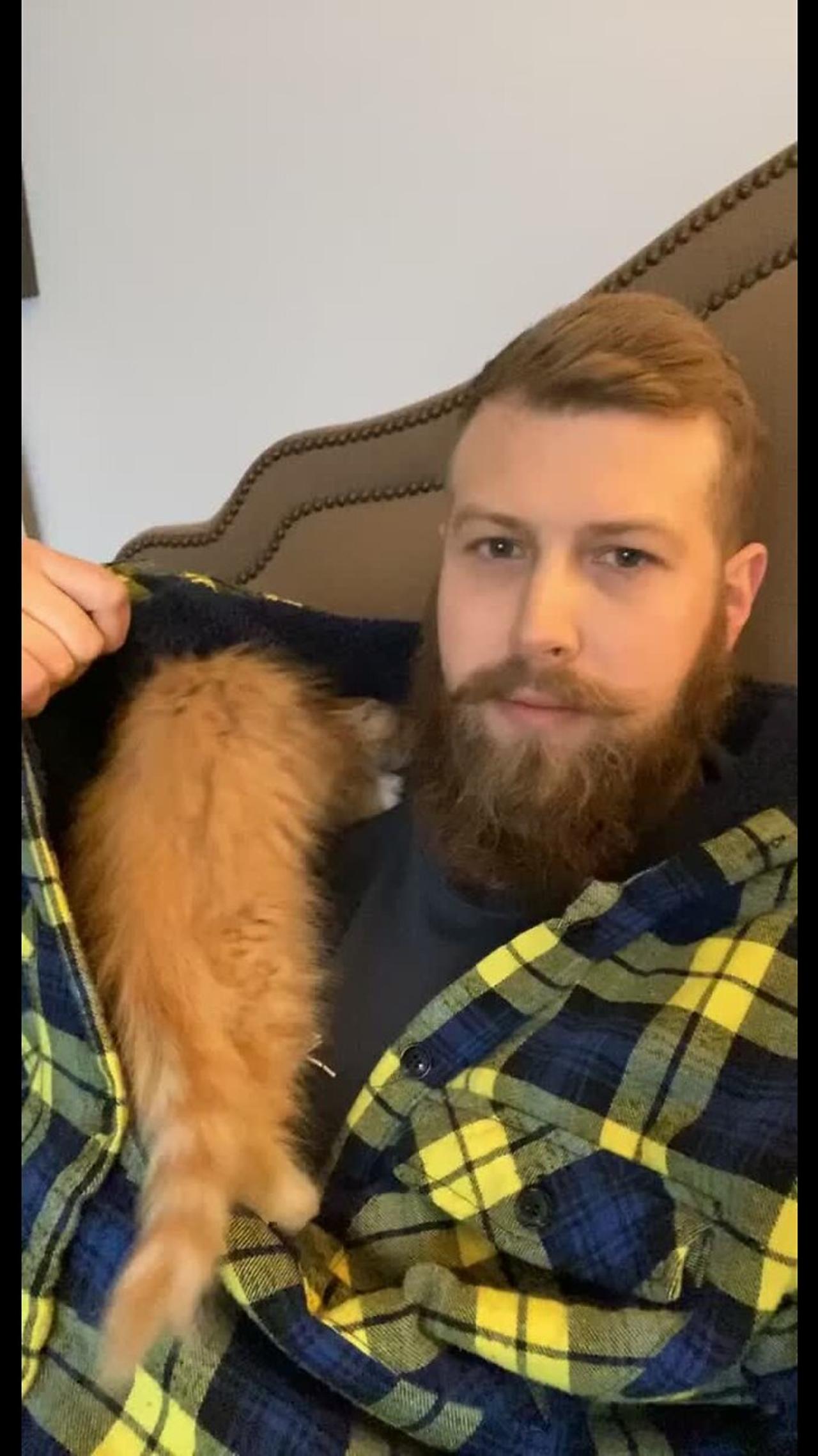Cute cat loves to cuddle on owner's - One News Page VIDEO