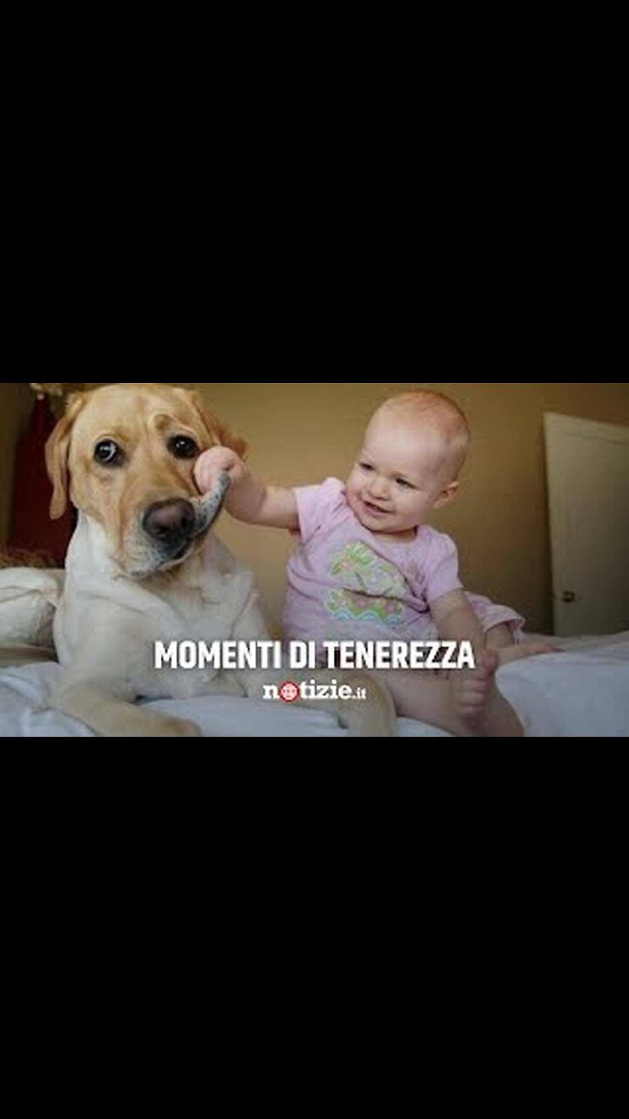 Children and dogs: the most tender videos - One News Page VIDEO