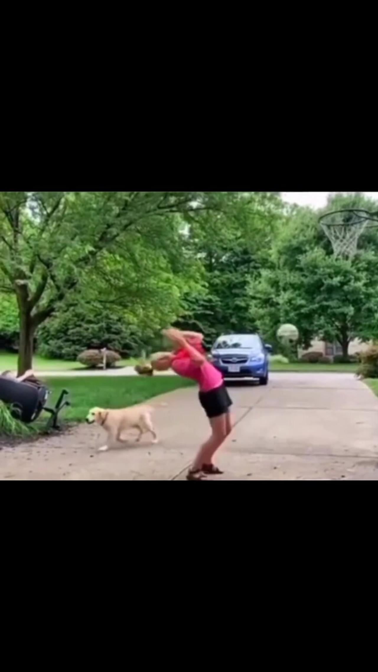 TRY NOT TO LAUGH 😆 Best Funny Videos - One News Page VIDEO