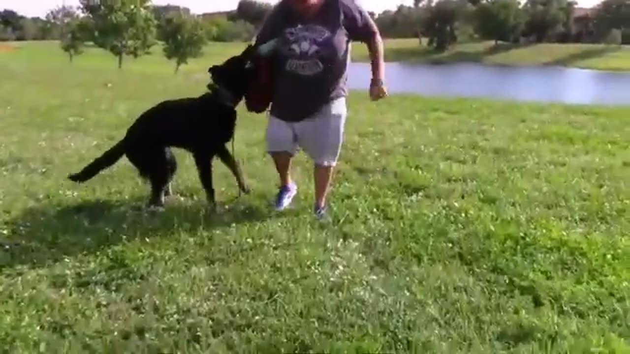 How To Make Dog Become Fully Aggressive With Few - One News Page VIDEO