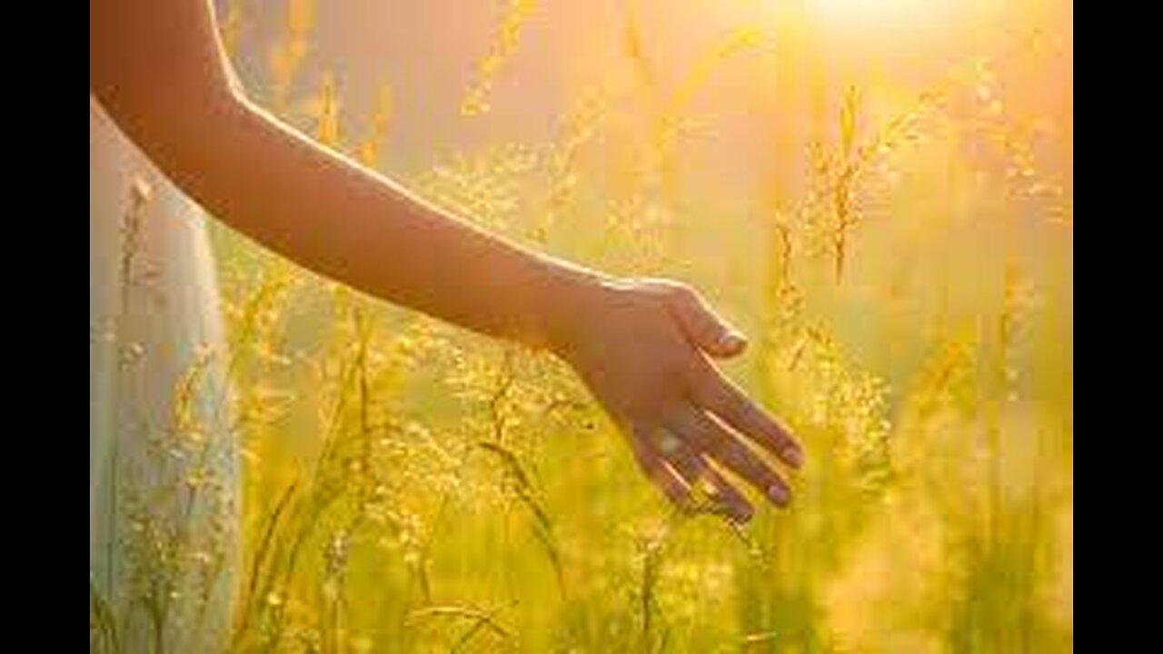 A Better Life 13, Motivational Video - One News Page VIDEO