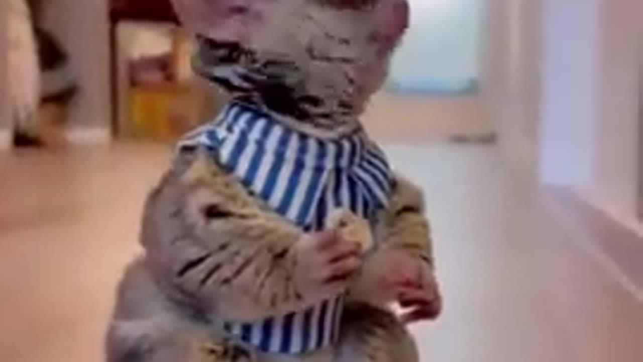 Funny Animal 2023 funniest animals ever. relax - One News Page VIDEO