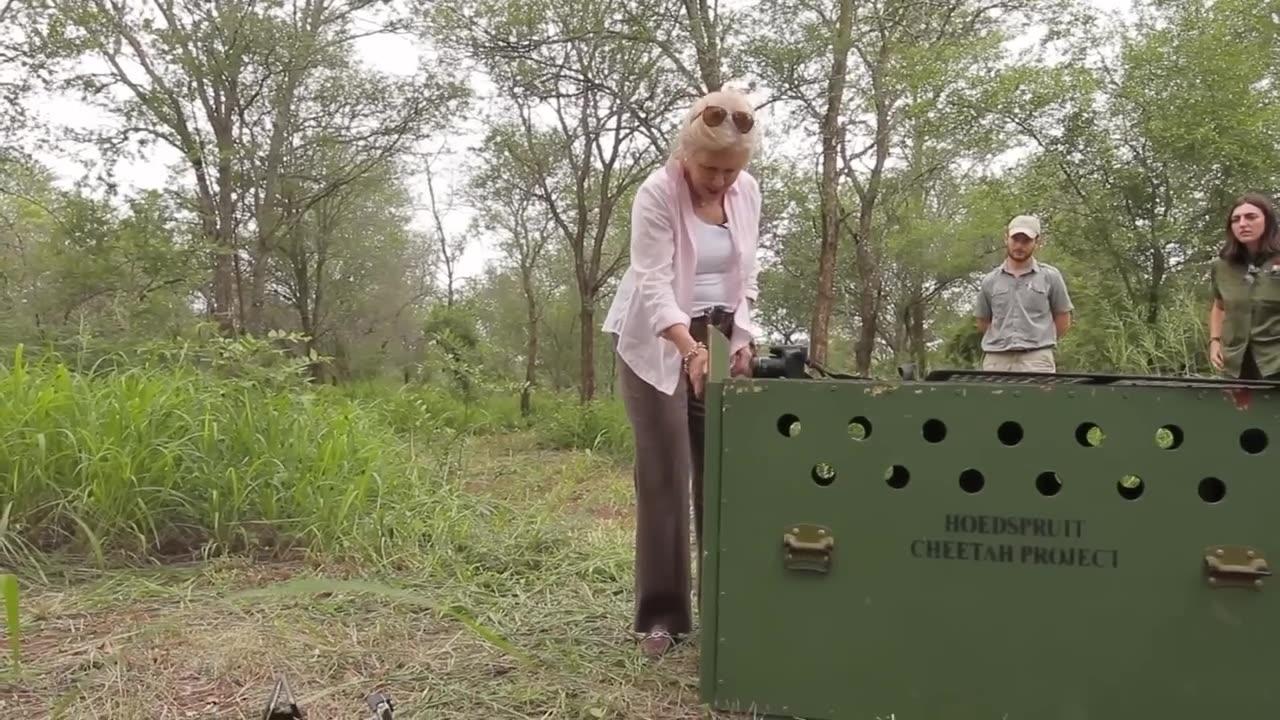 Animals Being FREED For The First Time! - One News Page VIDEO