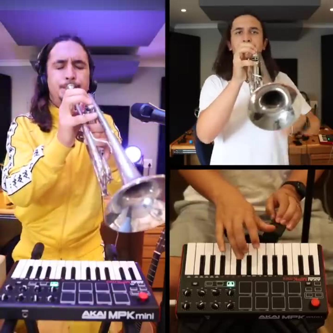 Ginger the Cockatiel is here to save humanity - One News Page VIDEO