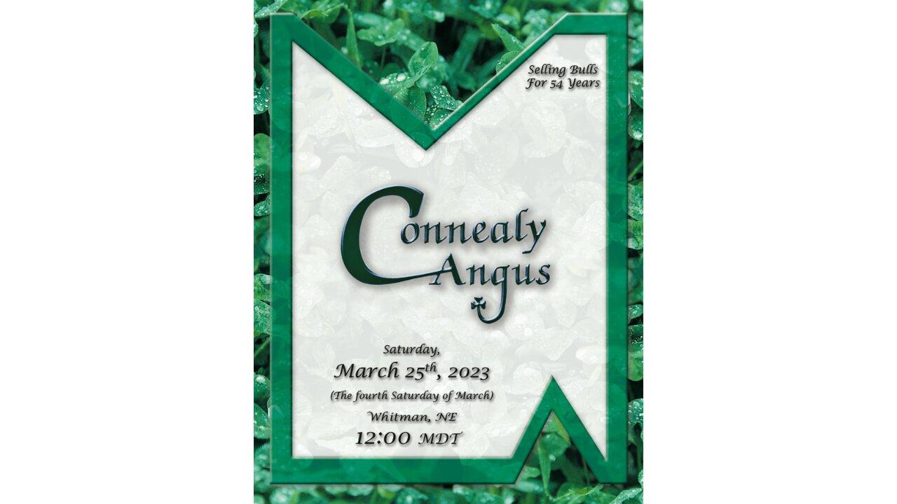 Connealy Angus 2023 Spring Bull Sale Catalog, - One News Page VIDEO