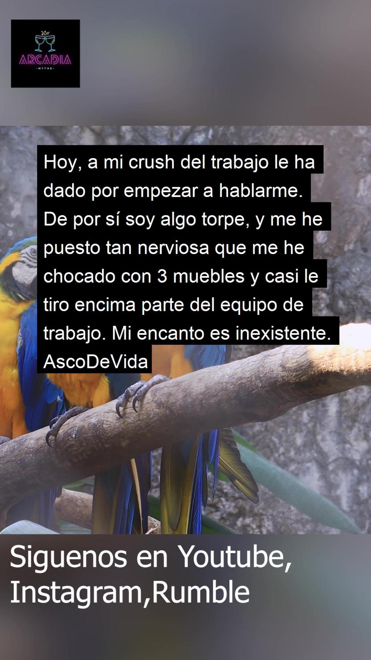 Asco de Vida #174 - One News Page VIDEO