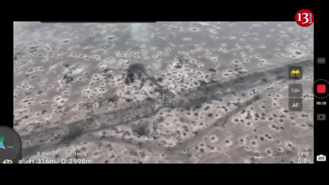 Mass extermination of "insect swarm" - One News Page VIDEO