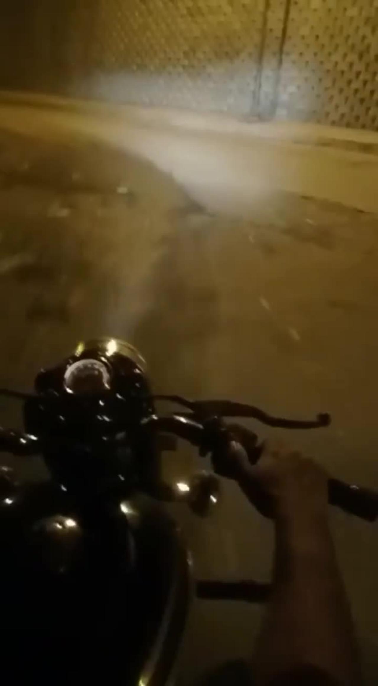 Gangester - One News Page VIDEO