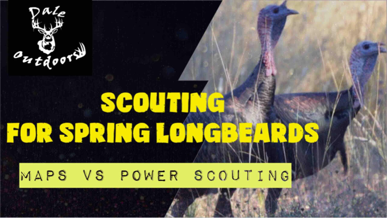 Scouting for Spring Longbeards/ Maps vs Power - One News Page VIDEO