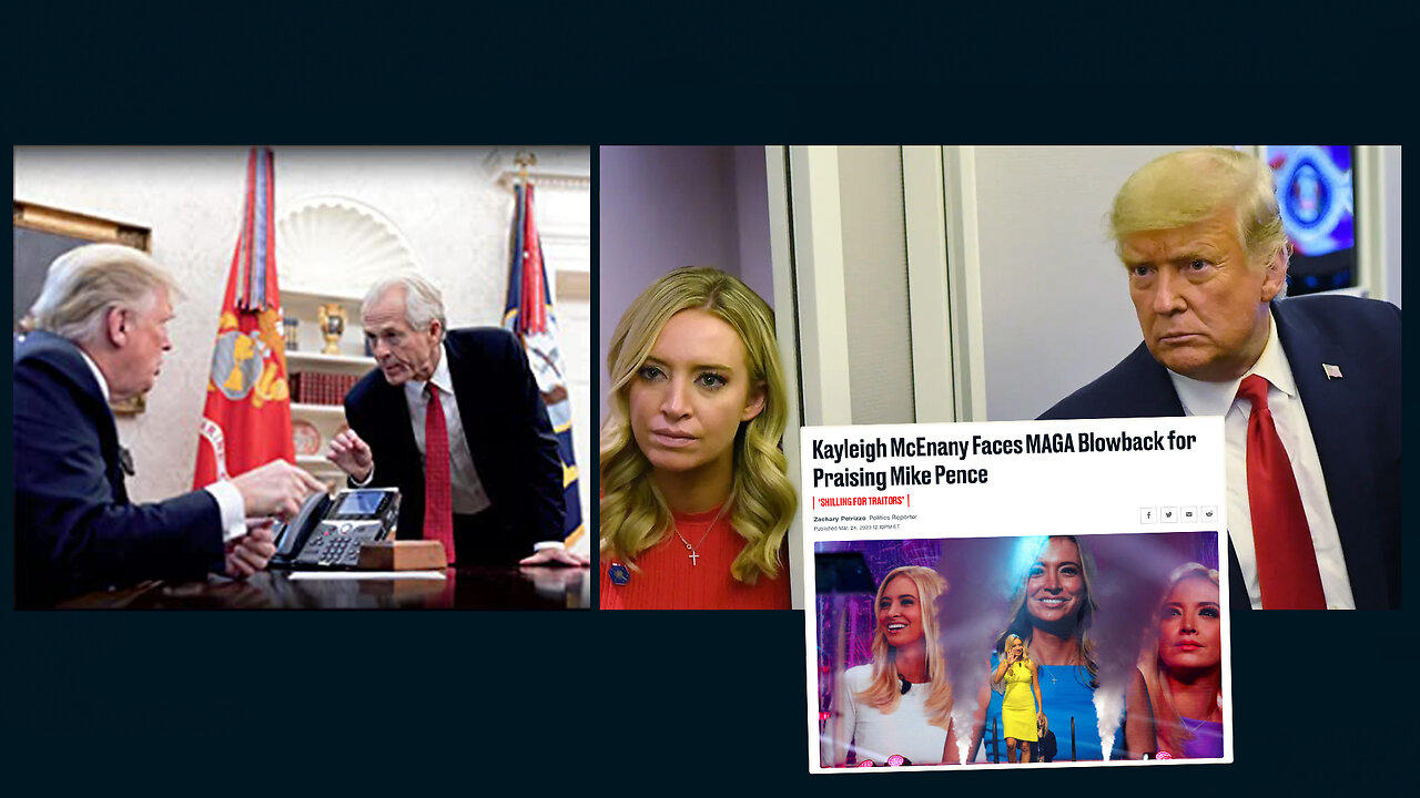 Peter Navarro | Punks & Traitors & - One News Page VIDEO