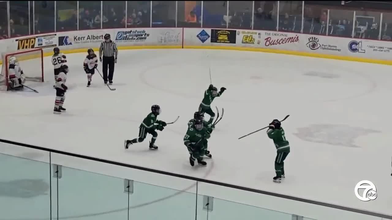 10-year-old scores The Michigan goal in MAHA - One News Page VIDEO