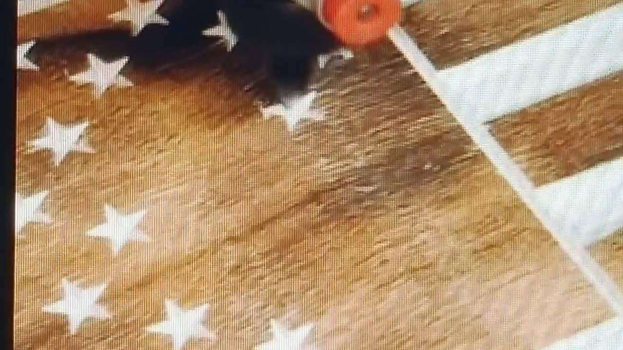 MPCNC Making Stars - One News Page VIDEO