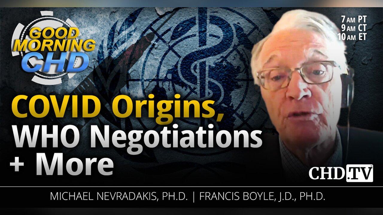 Dr. Francis Boyle on COVID Origins, WHO - One News Page VIDEO
