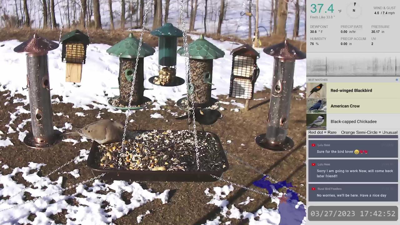 Rural Bird Feeders And Night Time Critter Cam - One News Page VIDEO