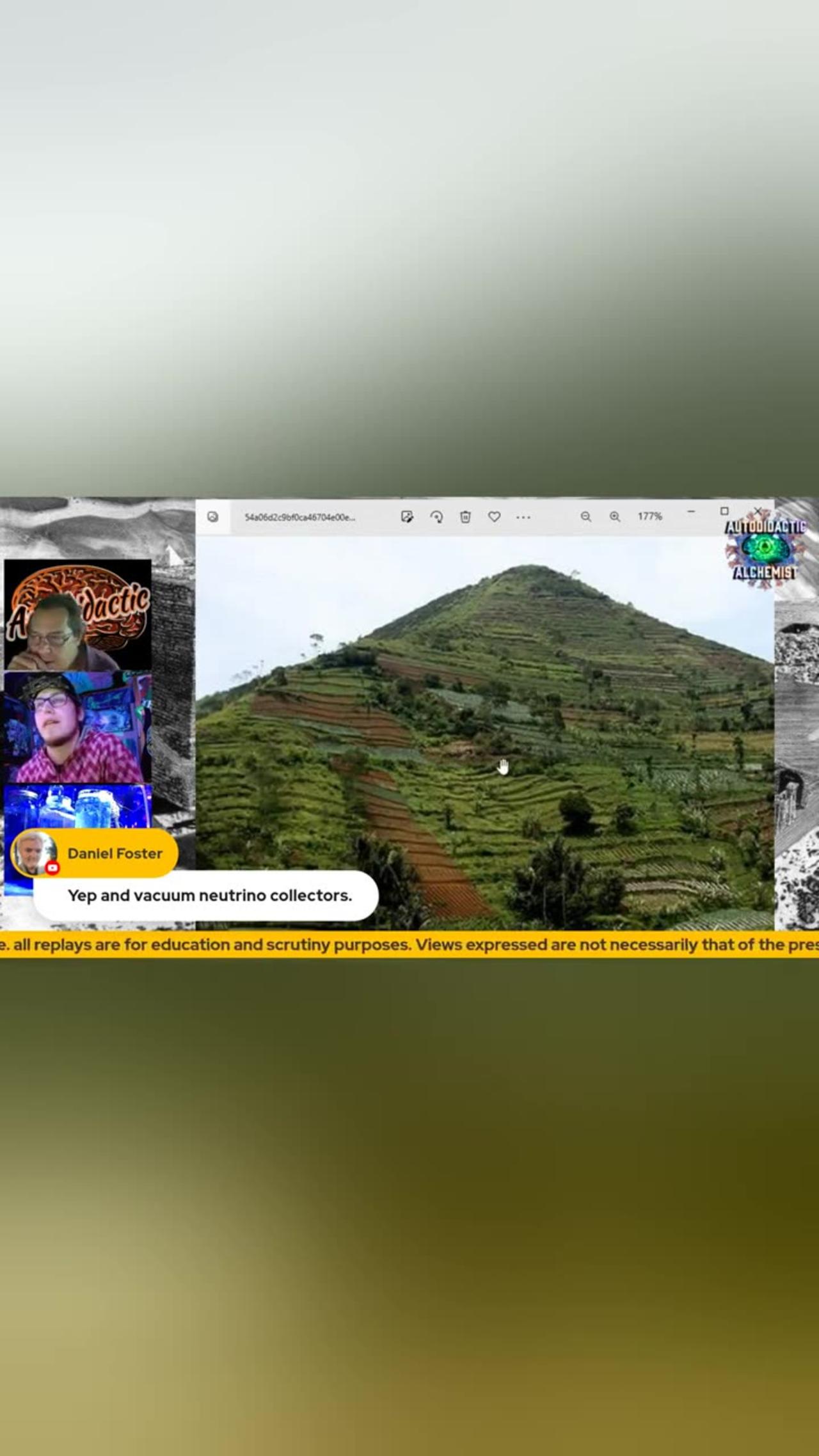 Pyramids, The Base of Giant Trees! Pyramids, - One News Page VIDEO