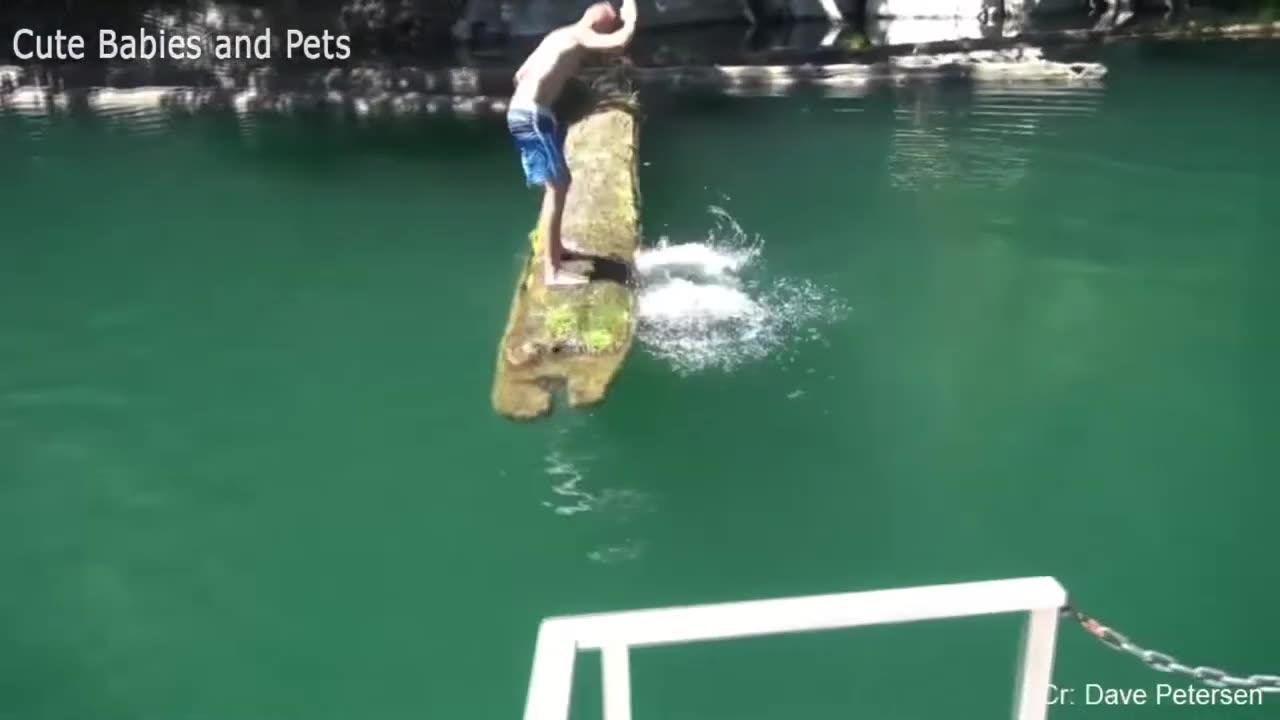 Funny Animals Chasing People - One News Page VIDEO