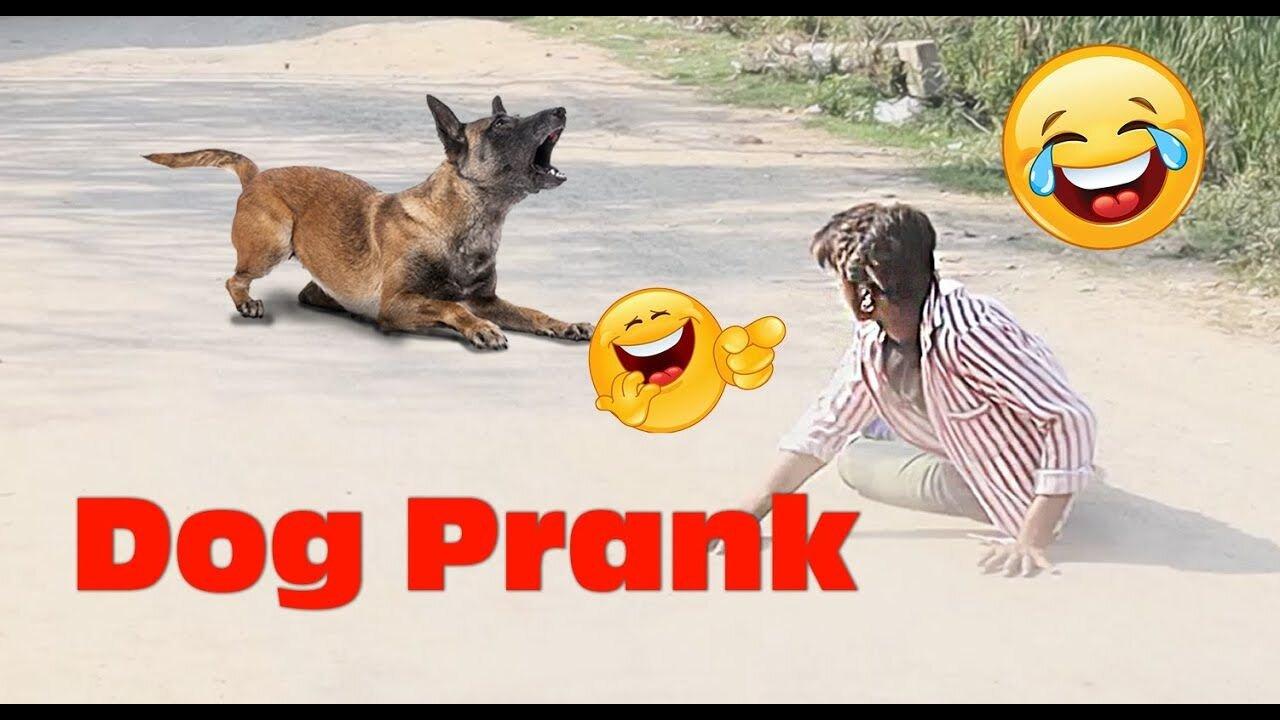 Prank with DoG 😂😂 - One News Page VIDEO