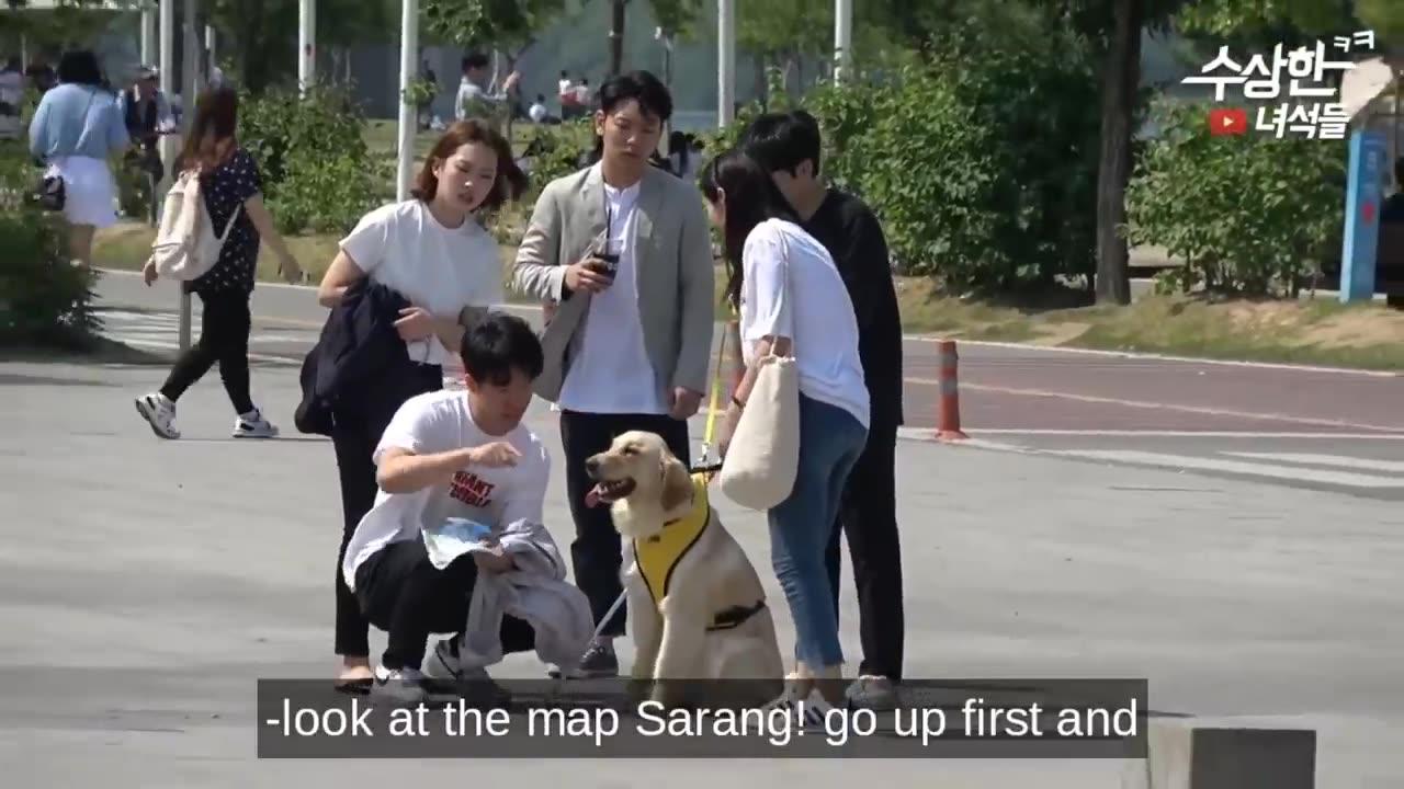 THE BEST KOREAN PRANKS 2023 - One News Page VIDEO