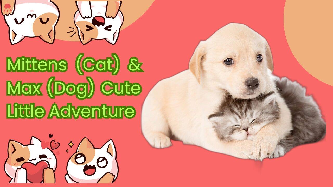 Mittens (Cat) & Max (Dog) Cute Little - One News Page VIDEO