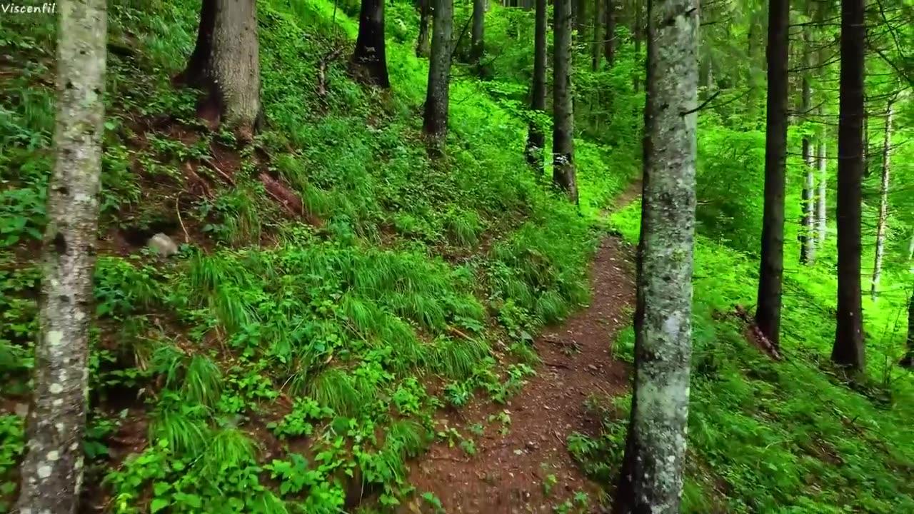 Soothing music to relieve stress with beautiful - One News Page VIDEO