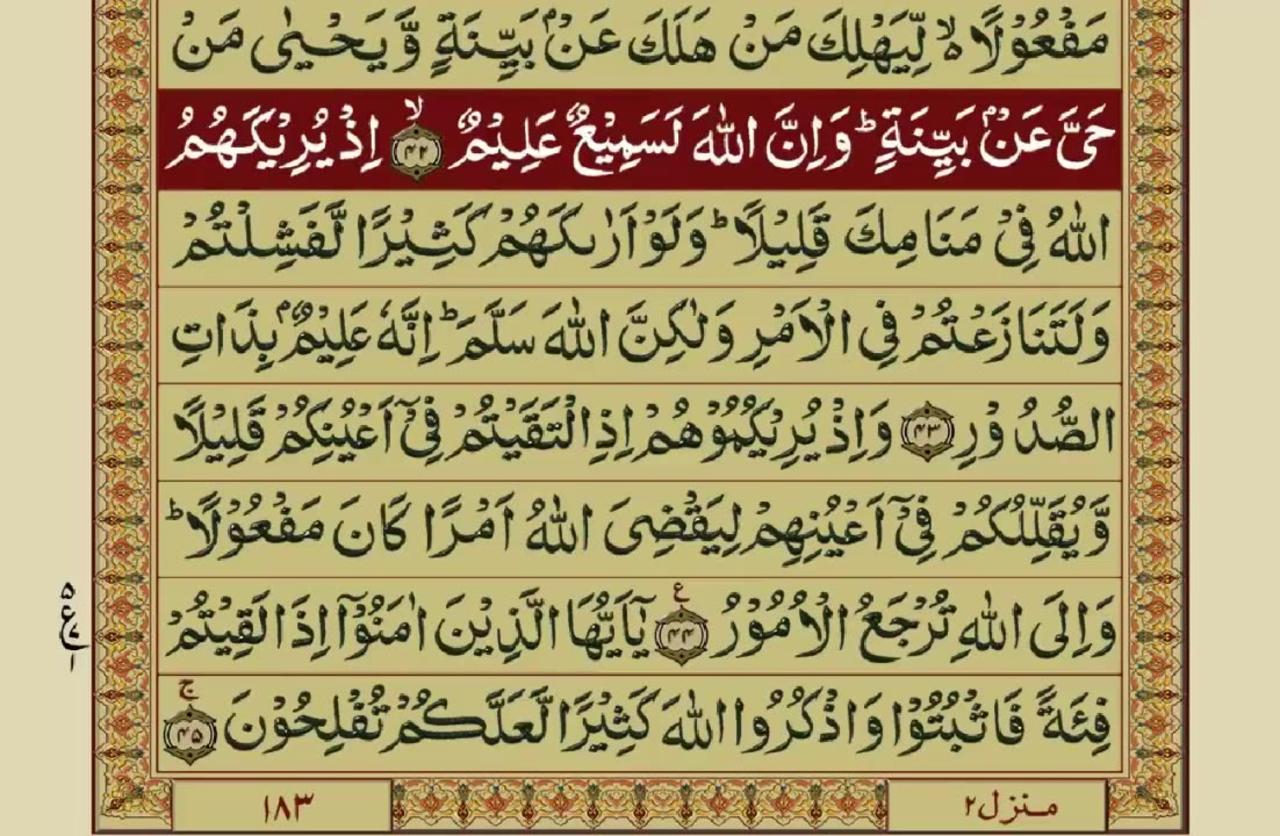 Quran Pak *Para Number* 10 With Urdu Translation - One News Page VIDEO