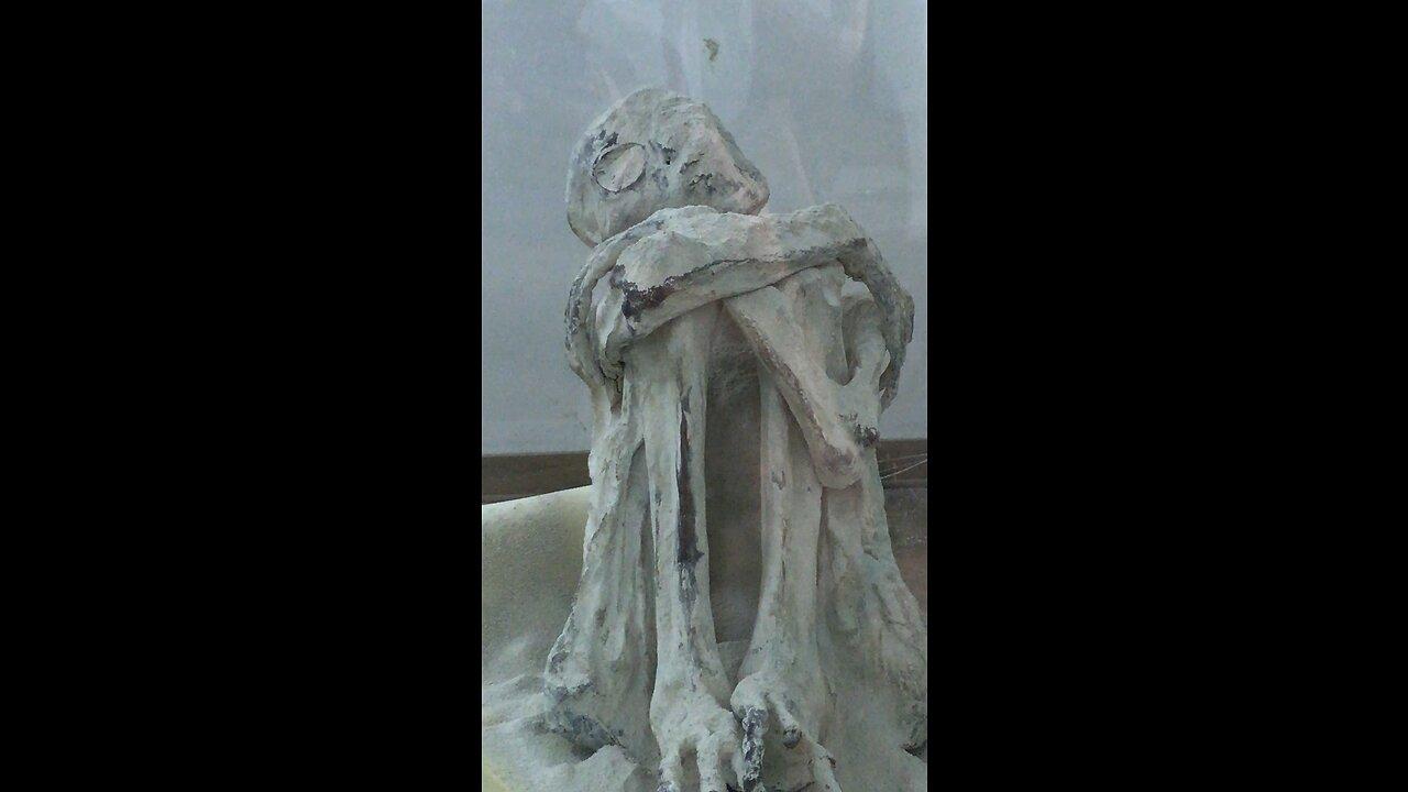 Alien mummy’s - One News Page VIDEO