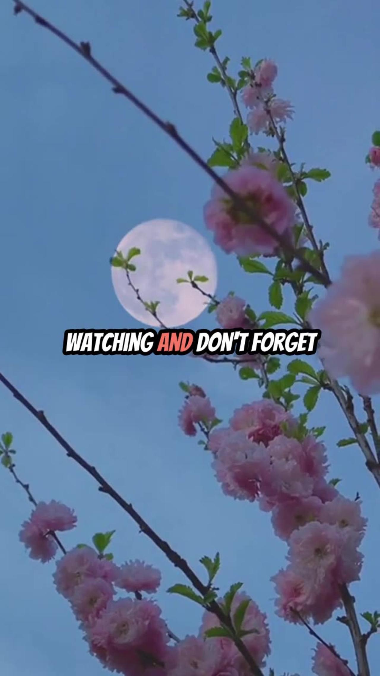 Action-Packed Adventures: Your Guide to - One News Page VIDEO