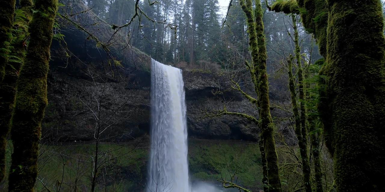 Stunning Nature Scenes in High Definition - One News Page VIDEO