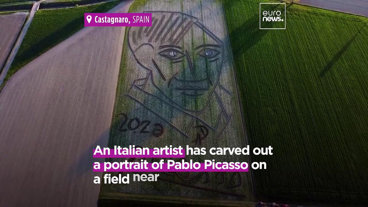 Italian land artist pays tribute to Pablo - One News Page VIDEO