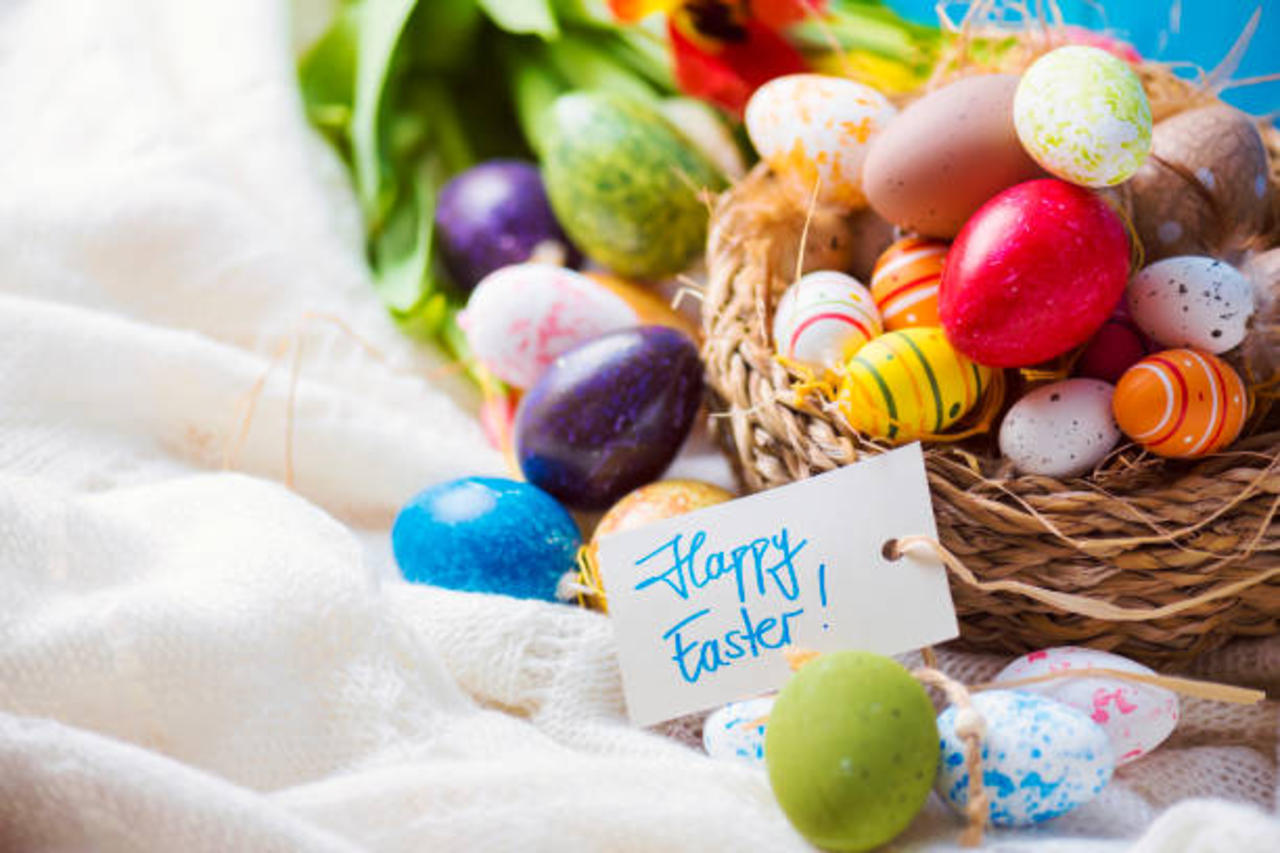 Here's How to Have an Eco-Friendly Easter - One News Page VIDEO