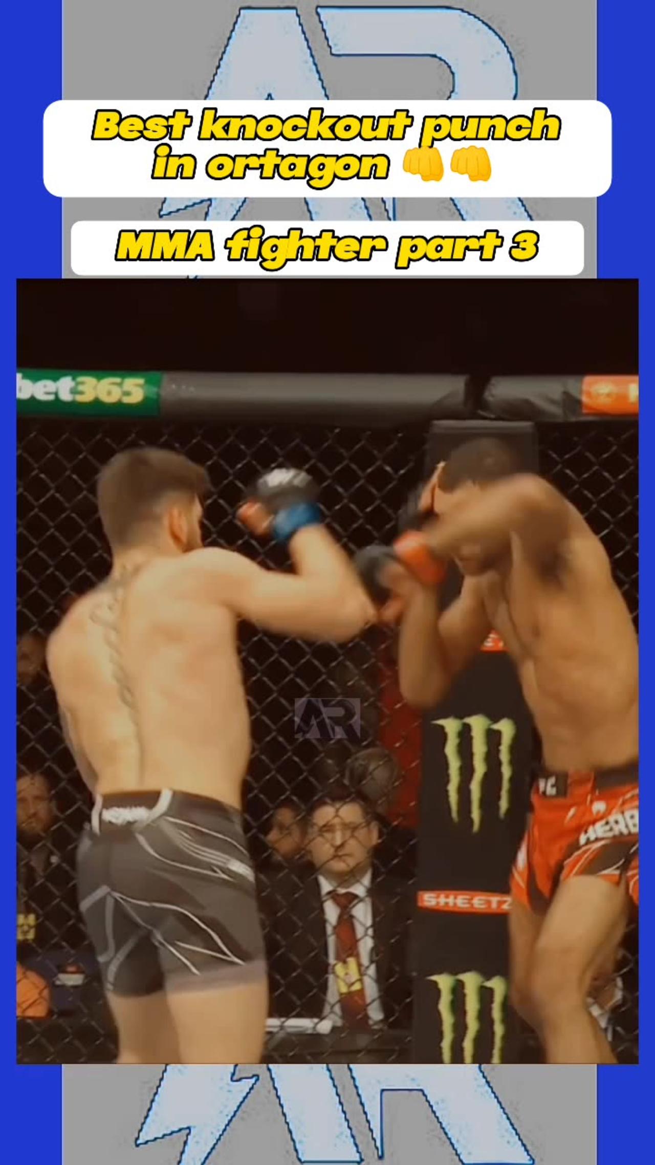 Best knockout punch in ortagon MMA fighter part - One News Page VIDEO