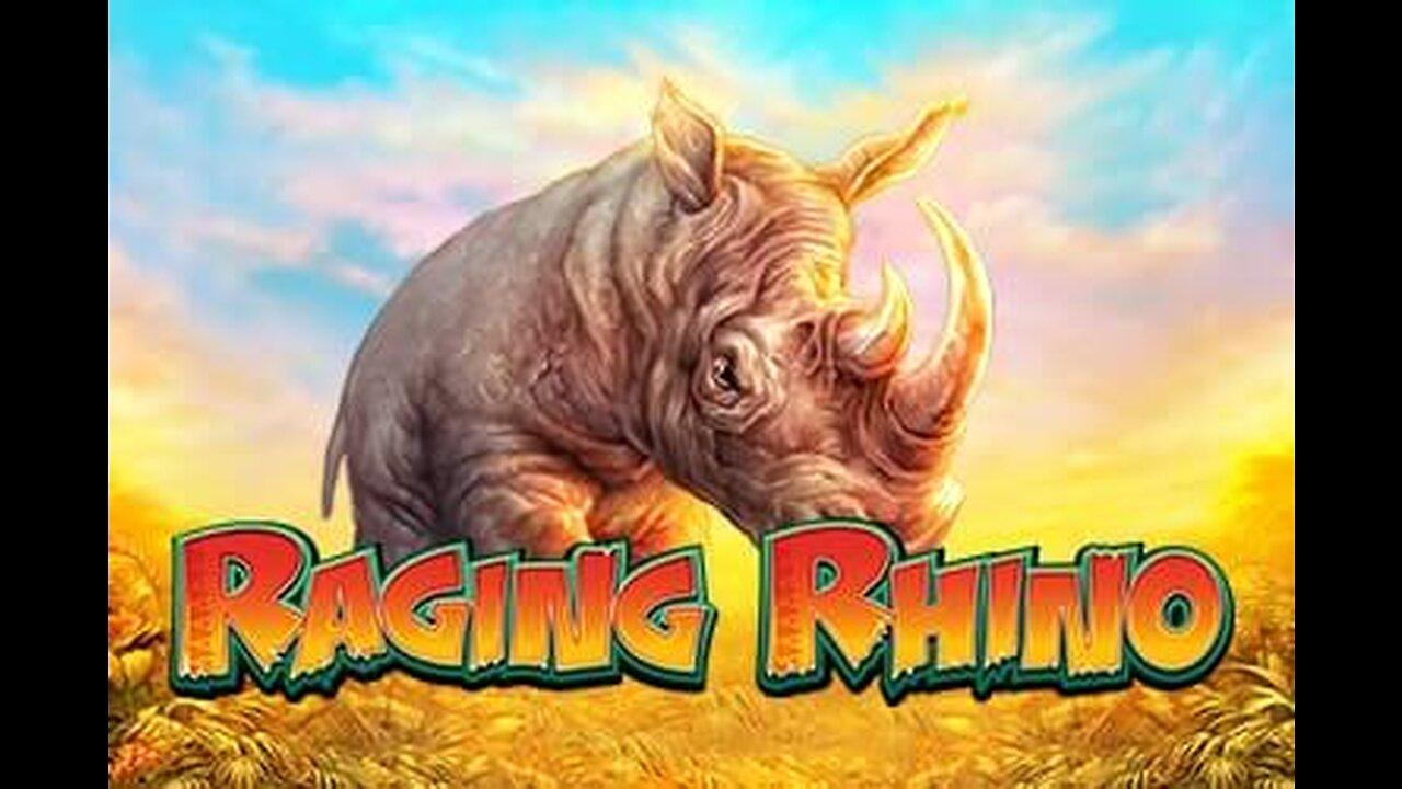 Raging Rhino - One News Page VIDEO