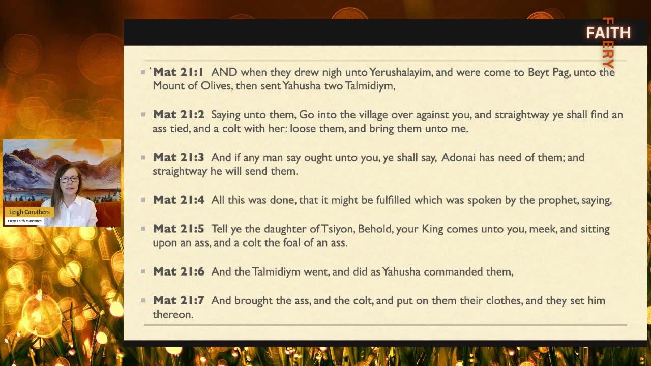 Morning Manna - Because He Lives - One News Page VIDEO