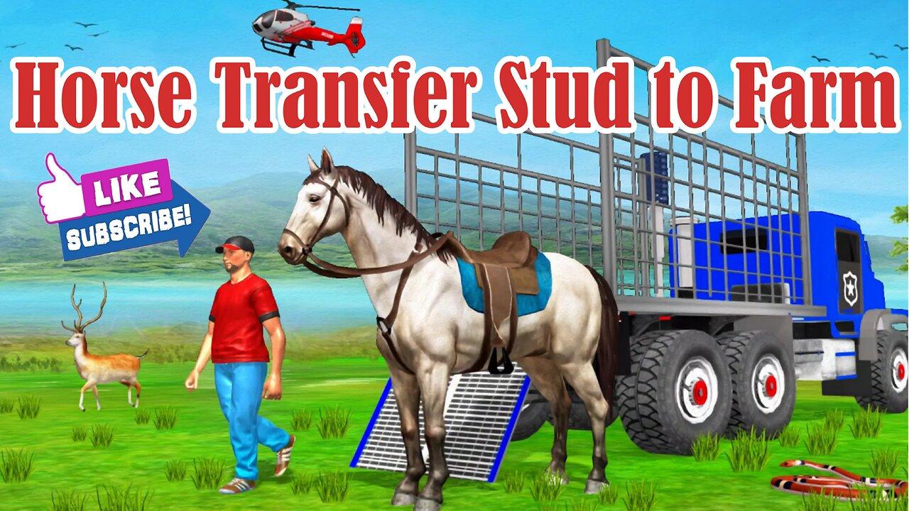 Animal Game Zone Horse transfer stud to Farm - One News Page VIDEO