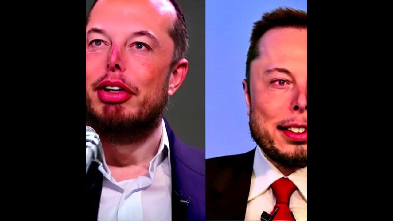 Elon Musk's Savage Response To Andrew - One News Page VIDEO