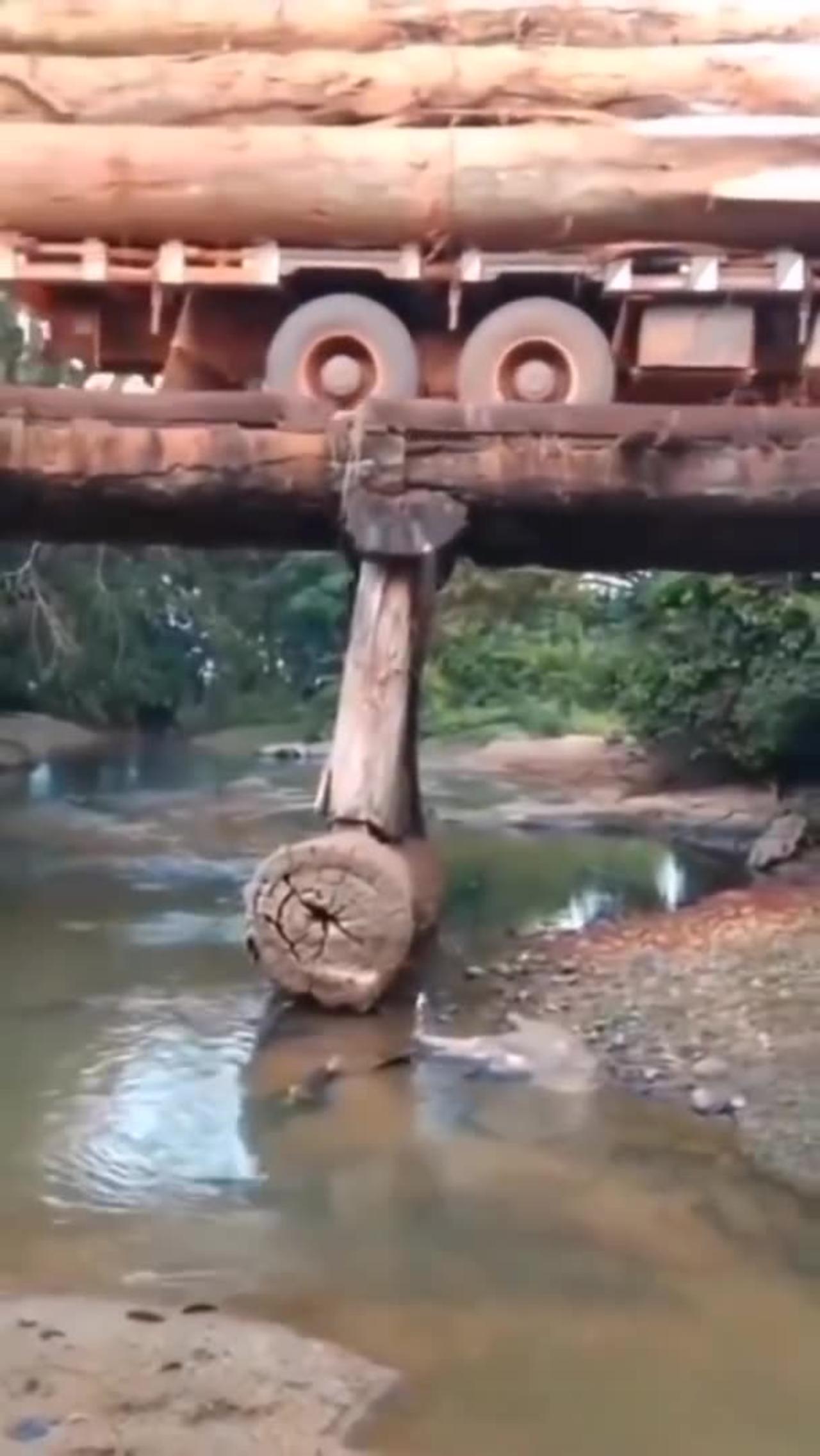 Logging Truck fails by crossing woodbridge - One News Page VIDEO