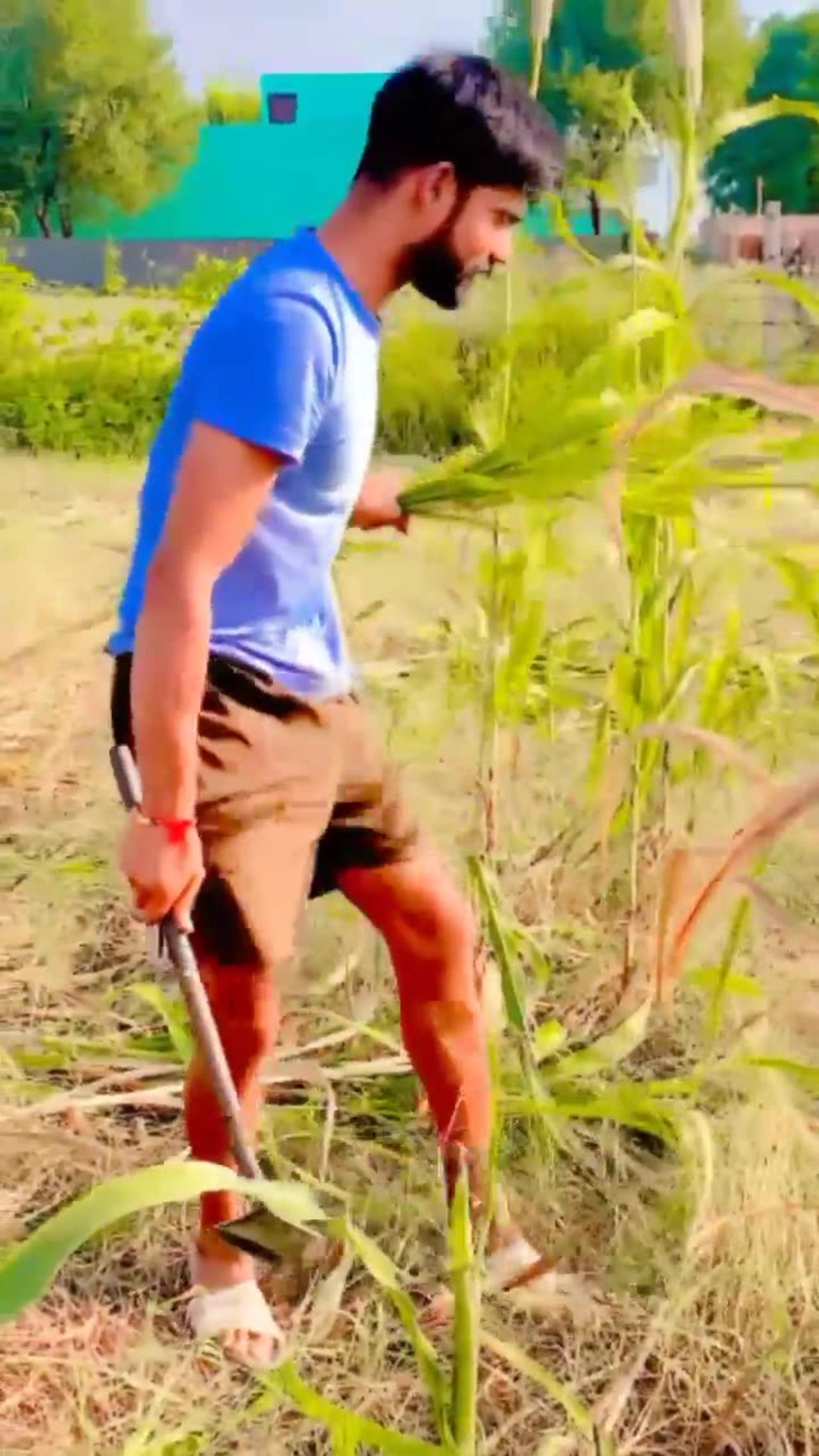 FARMAR BOY😯😯😯 - One News Page VIDEO