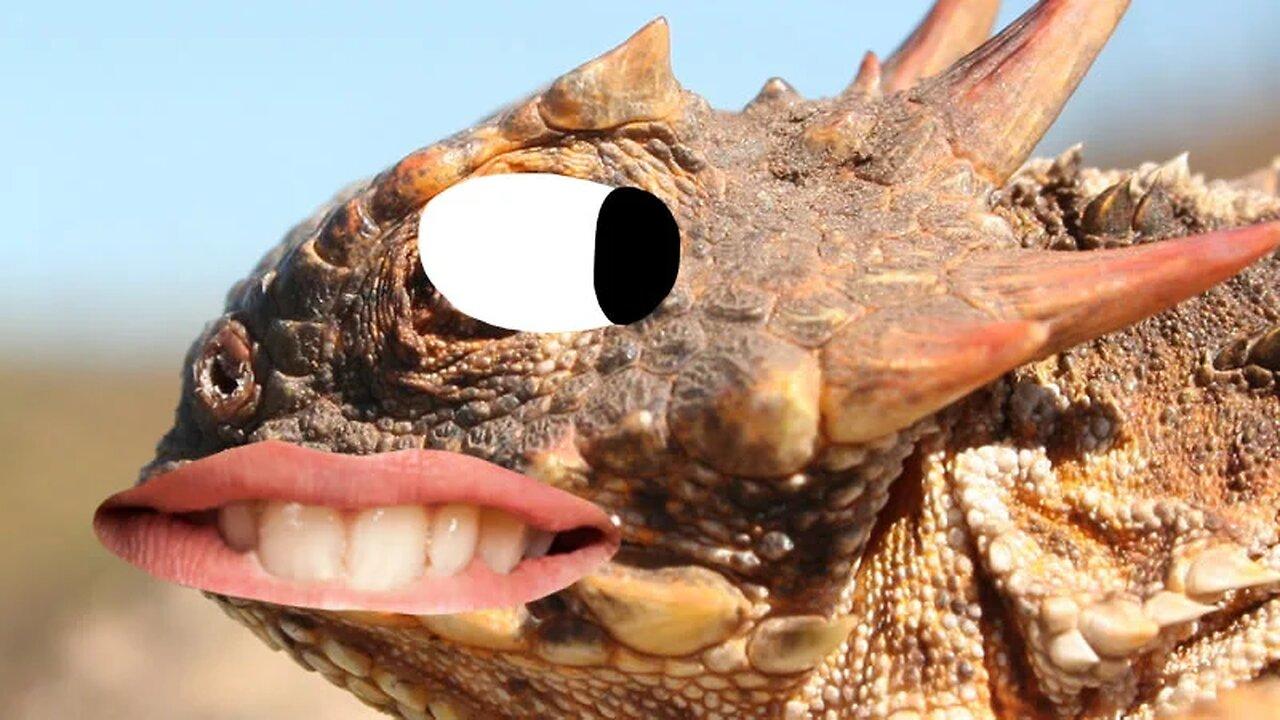 Gross Lizard Shoots Foul Blood From Its Eyes - One News Page VIDEO