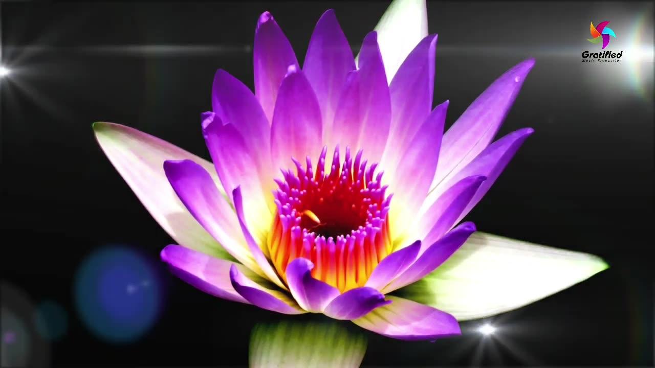 Chill Mood Super Deep Meditation Music - One News Page VIDEO