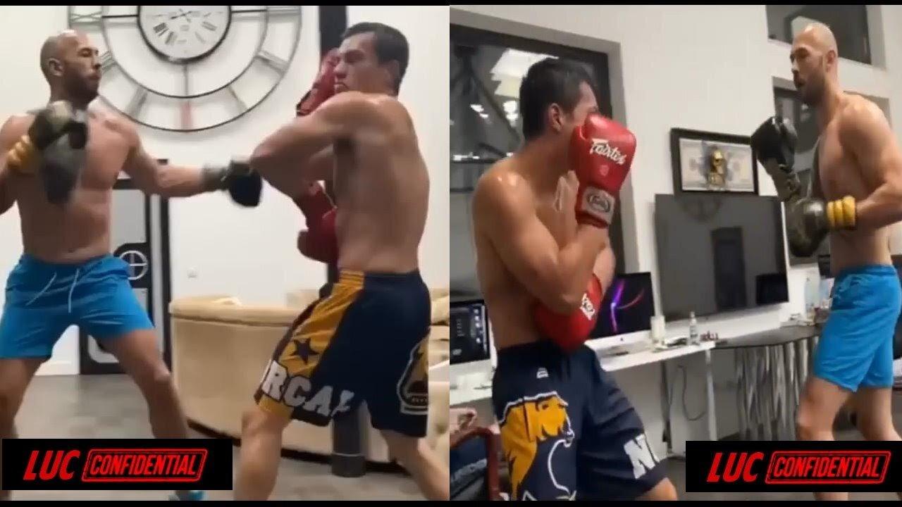 Andrew Tate Fights His COUSIN Luc Tate - Luc - One News Page VIDEO