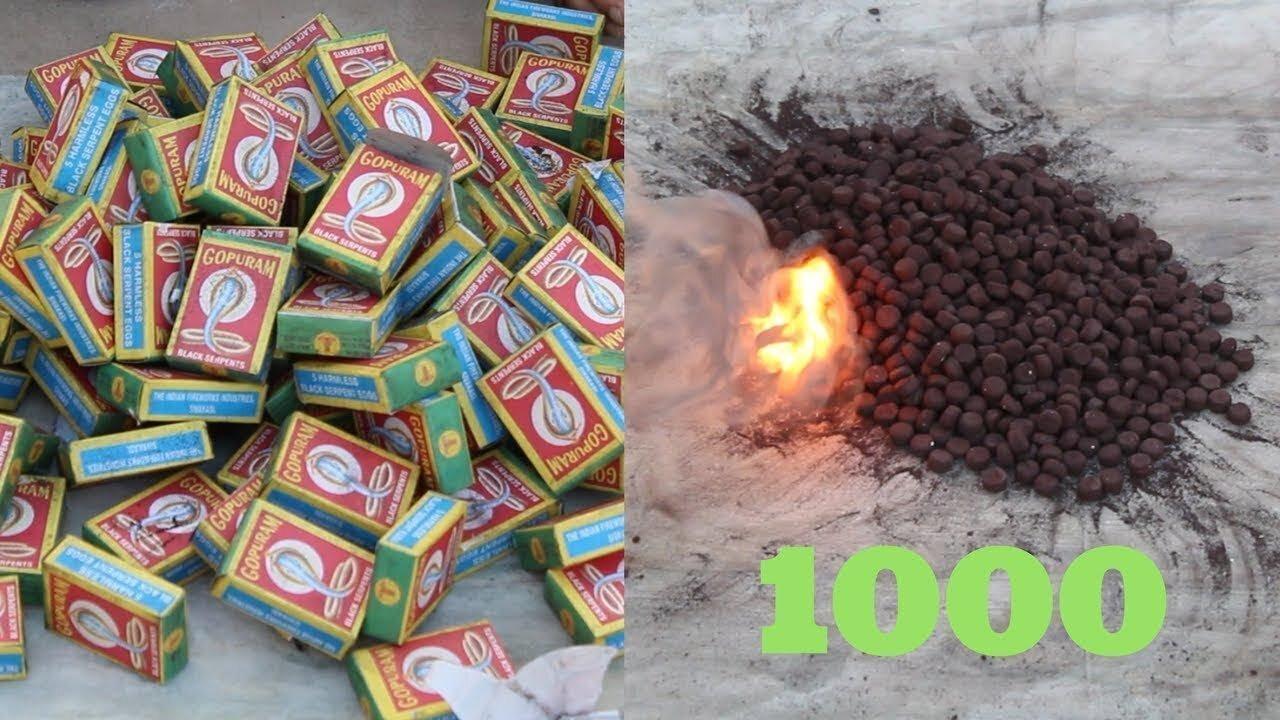 You Will be Shocked to see when 1000 SNAKE BOMBS - One News Page VIDEO