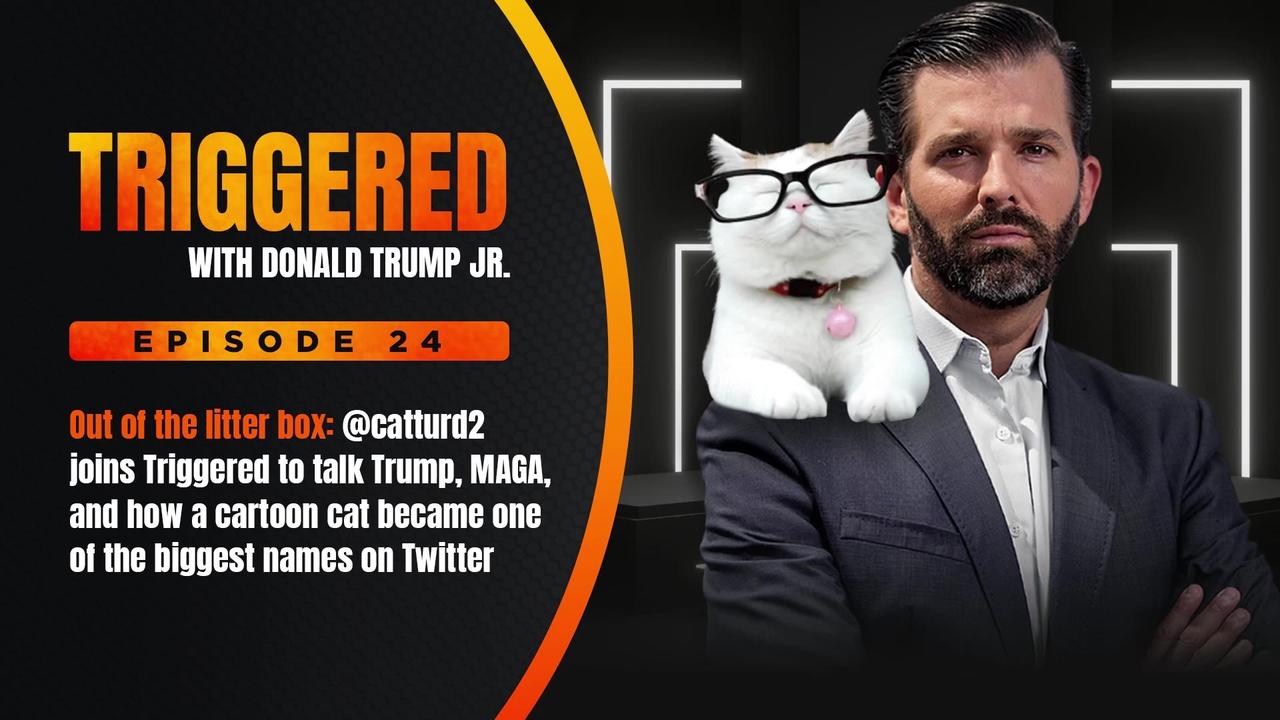 Pro-Trump Twitter Icon Catturd Comes Out of the - One News Page VIDEO