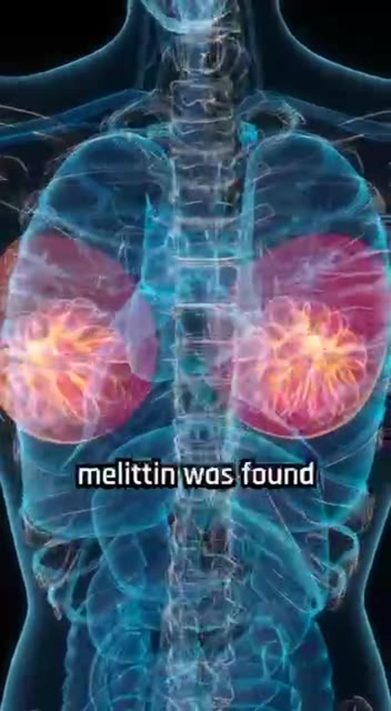 Honeybee venom kills cancer cells. - One News Page VIDEO