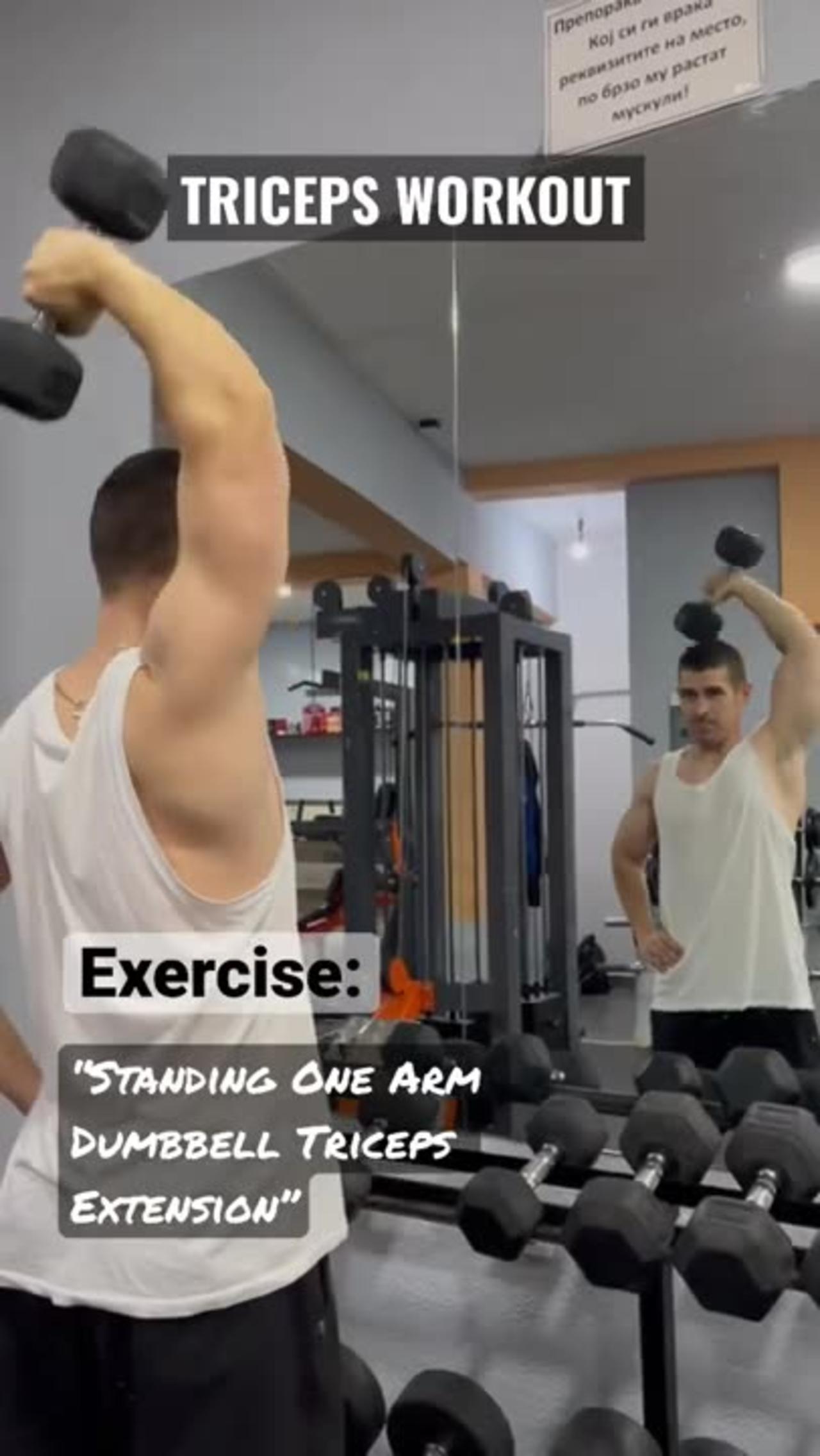 Triceps Exercise Standing One One Arm Dumbbell One News Page Video