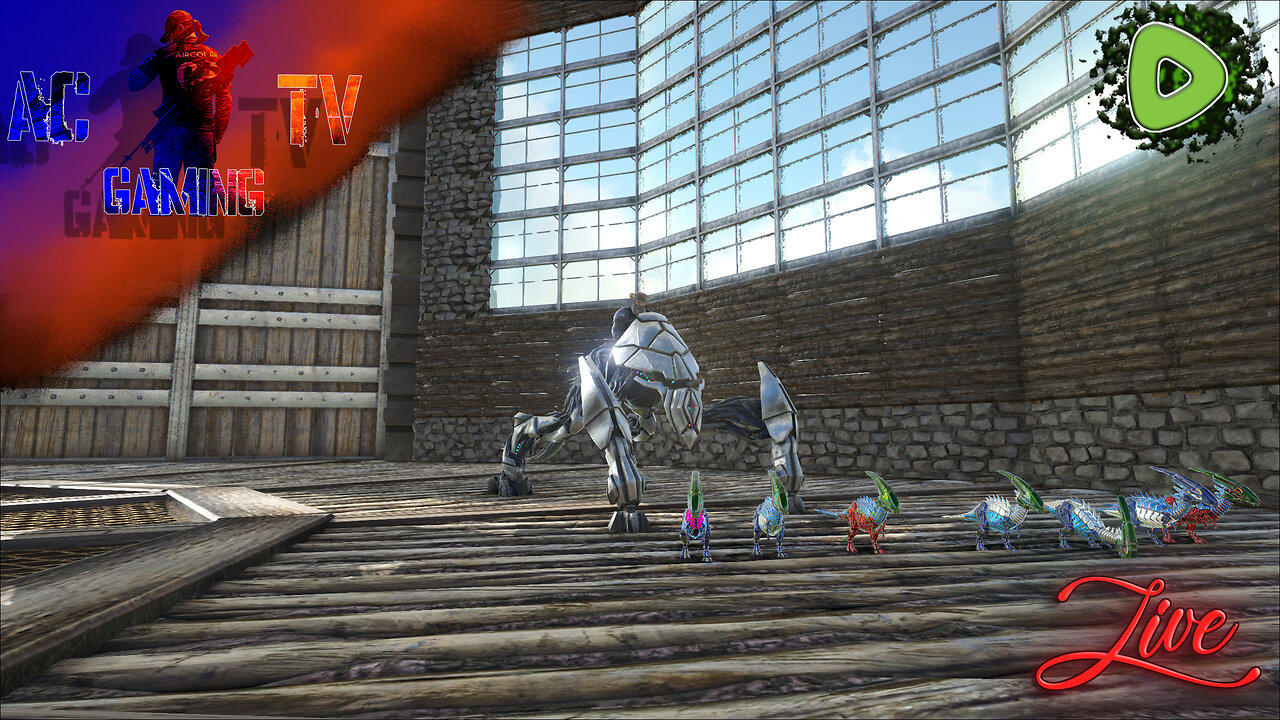 All The Colours! Easter Event Still Going On - - One News Page VIDEO