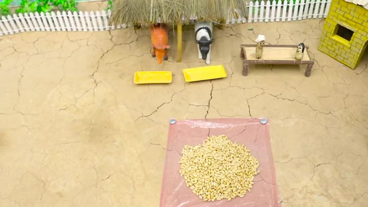 tractor mini conveyor belt wheat cleaning - One News Page VIDEO