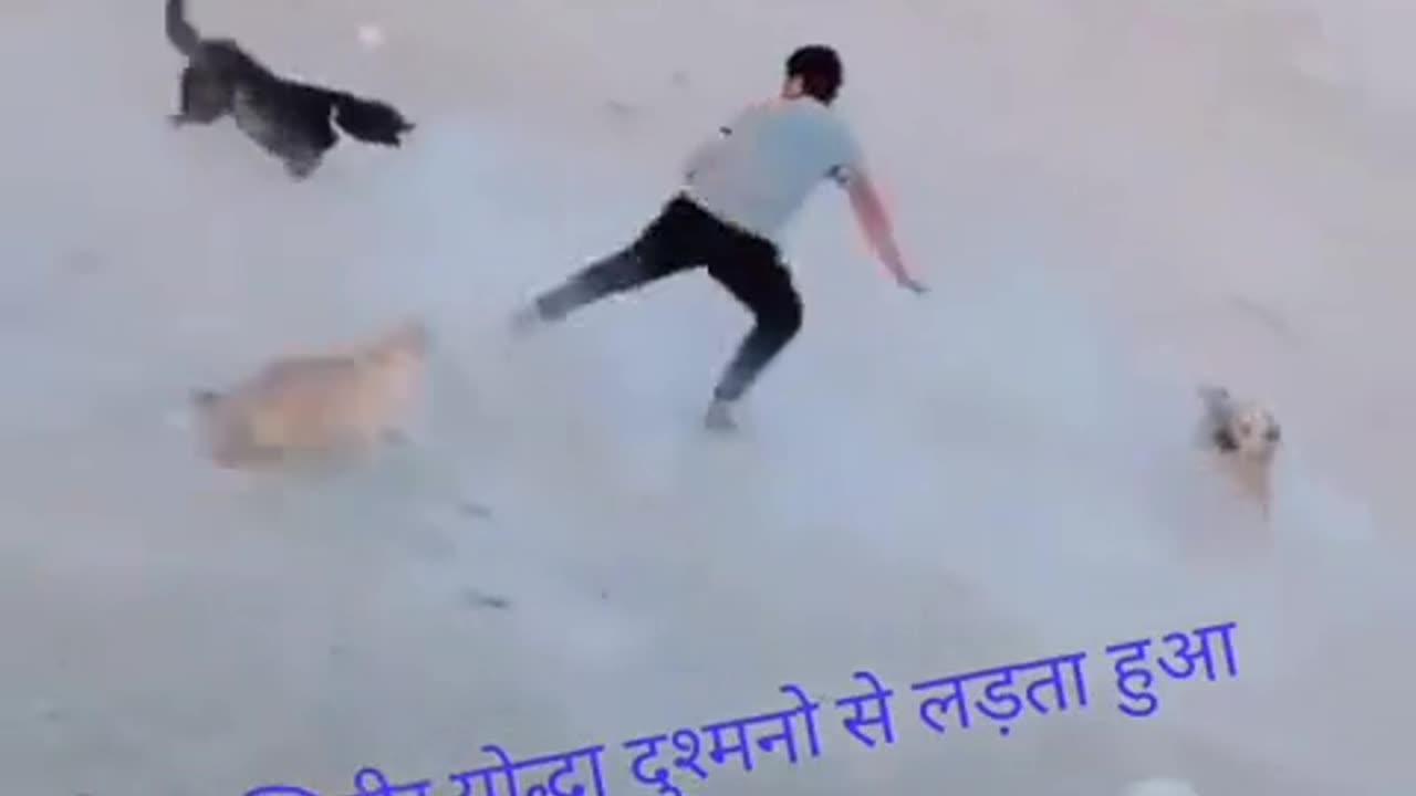 Most funny video on the platform - One News Page VIDEO