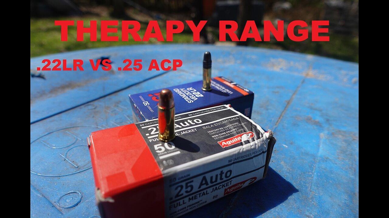 .22lr vs .25 ACP on Therapy Range - One News Page VIDEO